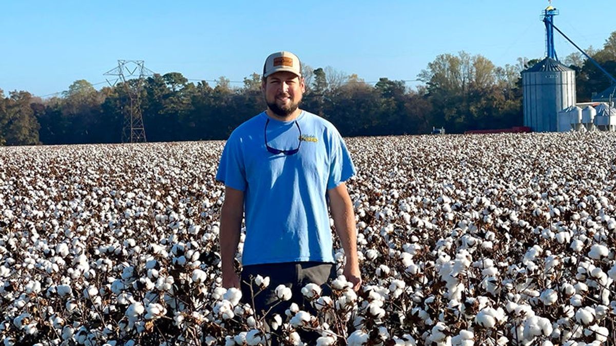 Babb reappointed to state Cotton Board
