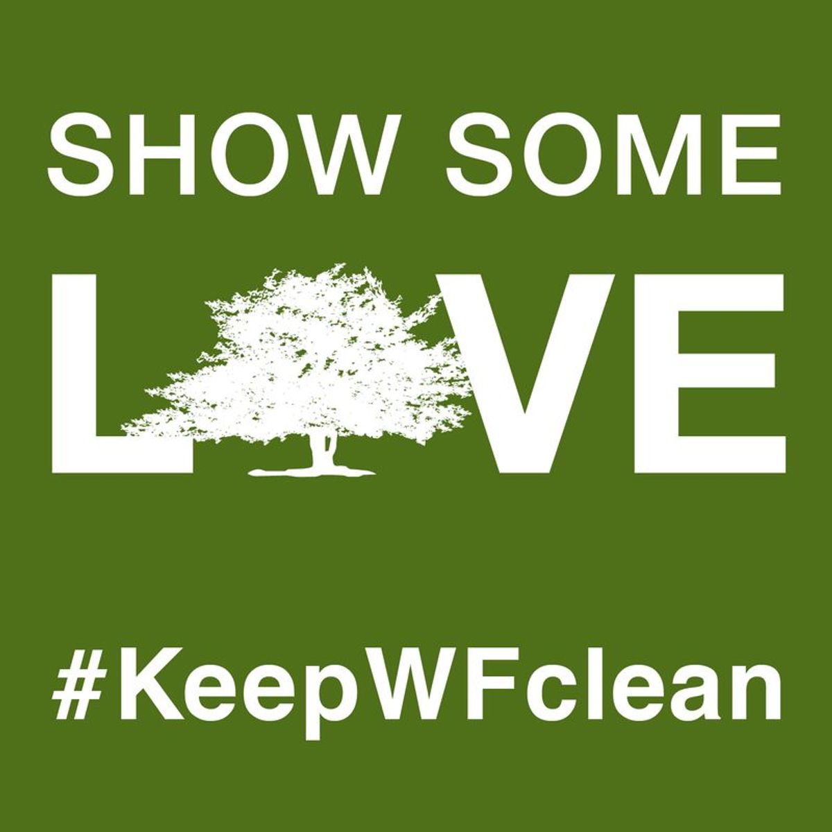 Wake Forest launches anti-littering campaign