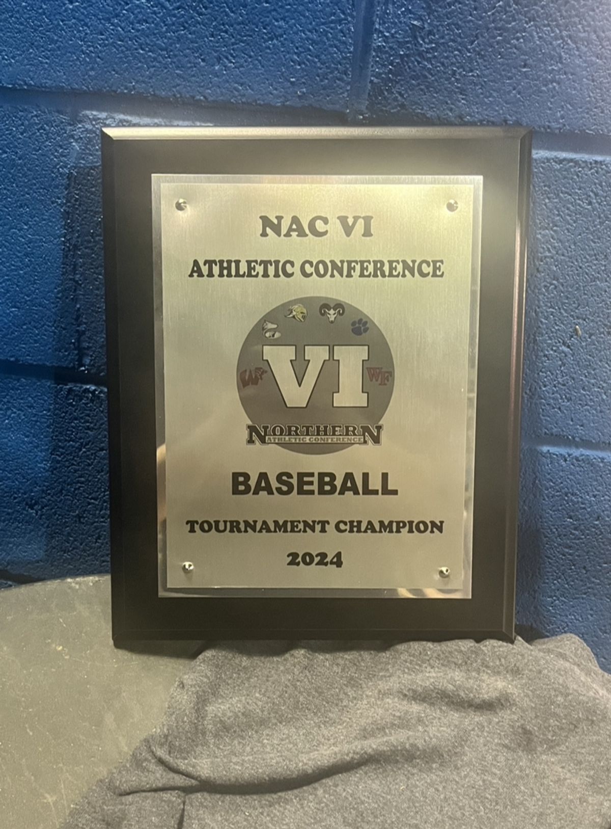 Wake Forest baseball wins 2024 NAC-6 tournament championship