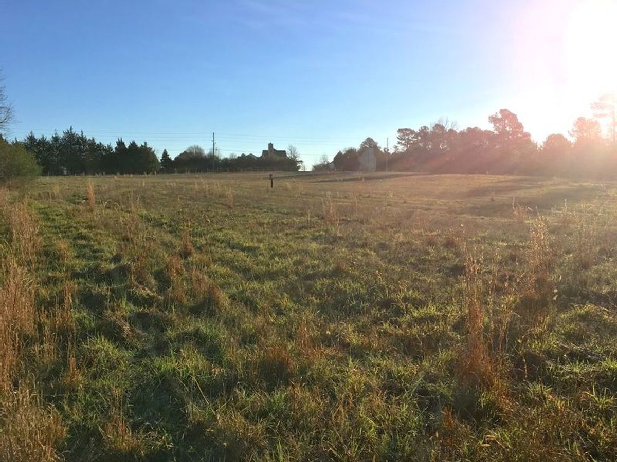 Plans underway to turn east Wake farmland into conservation park