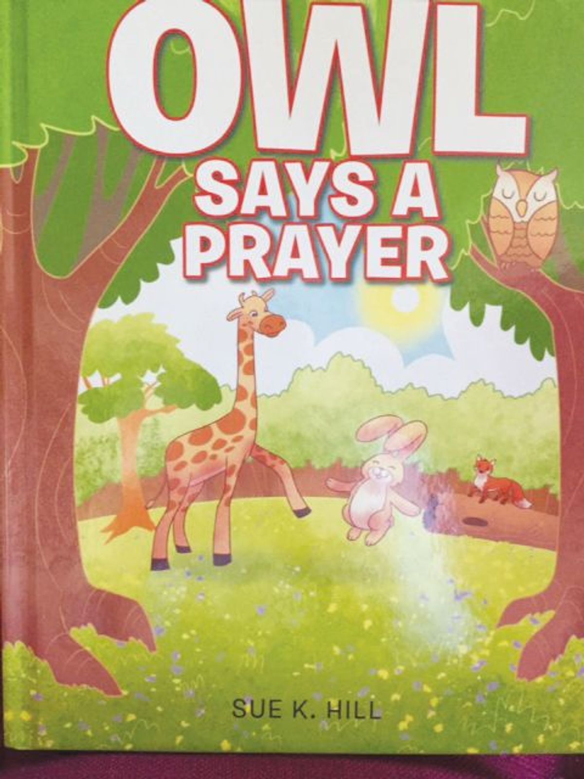 Wake Forest author publishes 3rd children’s book