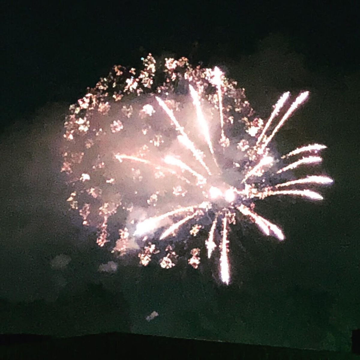 Wake Forest plans 50th Independence Day Celebration, July 3-4