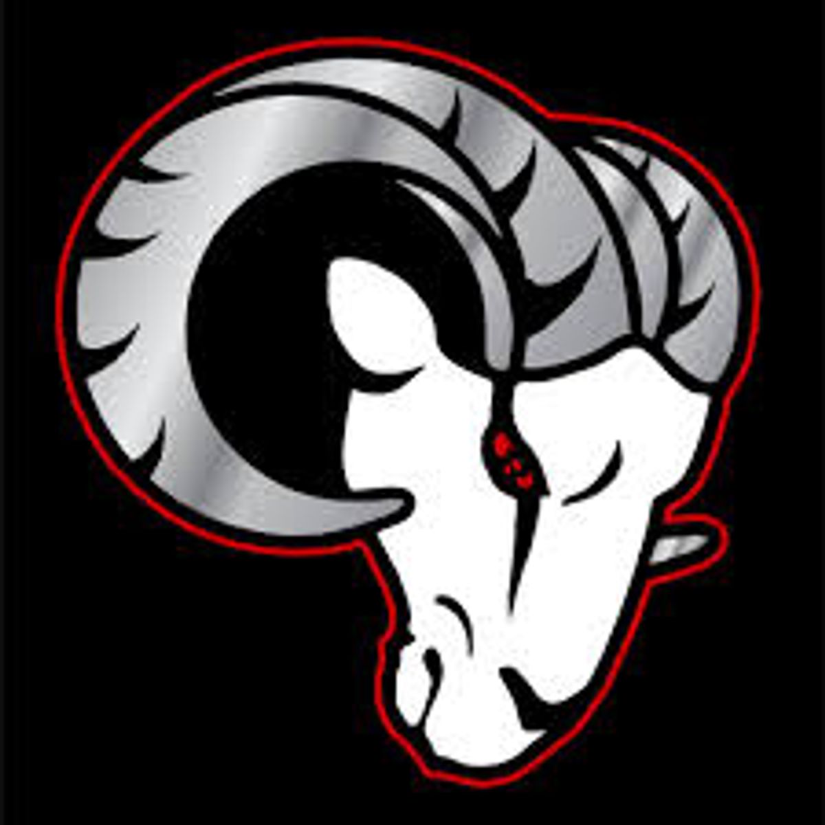 Amir Brown leads Rolesville to dominant 49-0 playoff win over Green Ho...