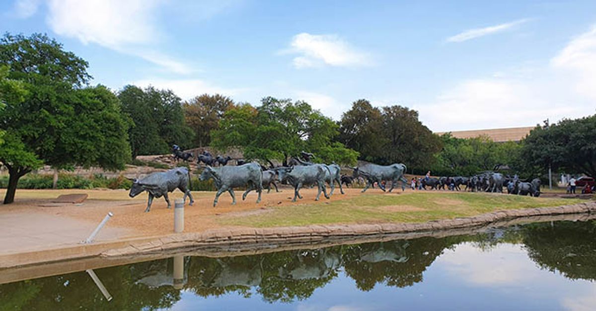 Dallas launches new partnership to beautify city